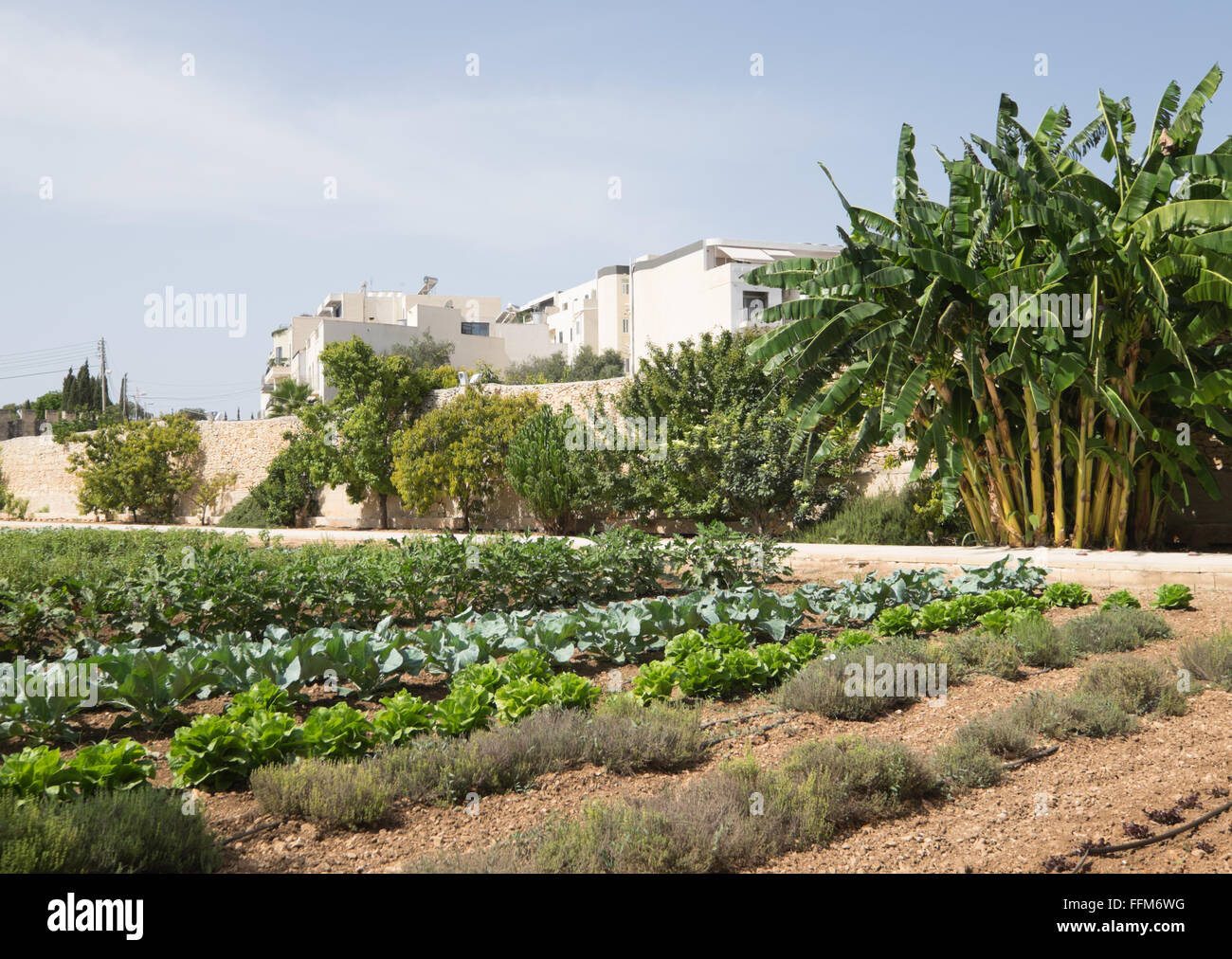 Balzan Malta High Resolution Stock Photography and Images - Alamy