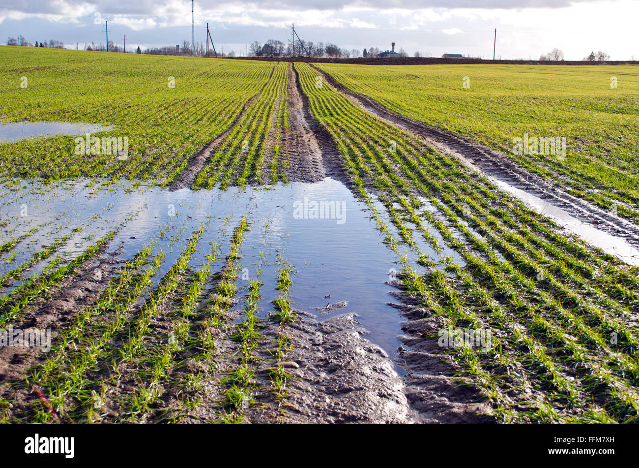 Thaw puddle hi-res stock photography and images - Alamy