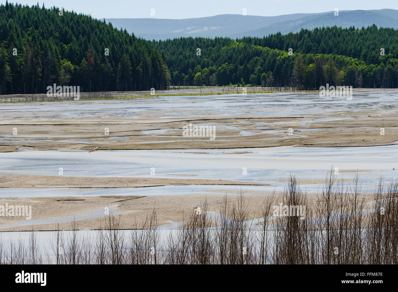 Wetlands swamp created by the sediment retention dam on North Fork ...