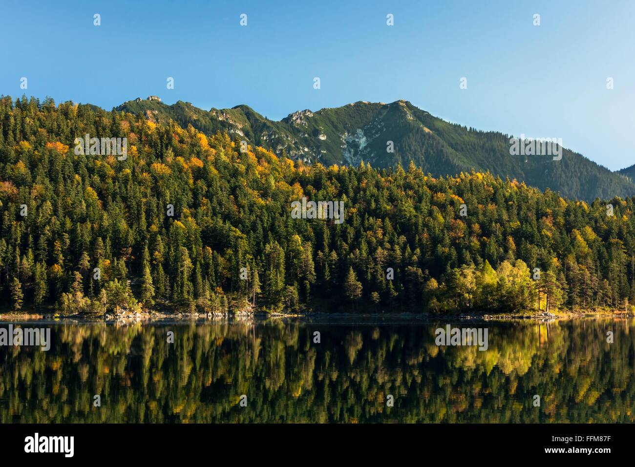 Autumn in the mountains near the lake Eibsee Stock Photo - Alamy