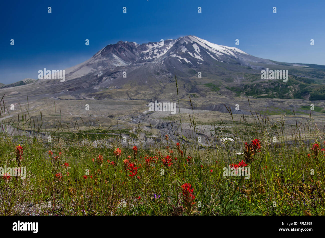 Mount st helens 1980 after eruption hi-res stock photography and images ...
