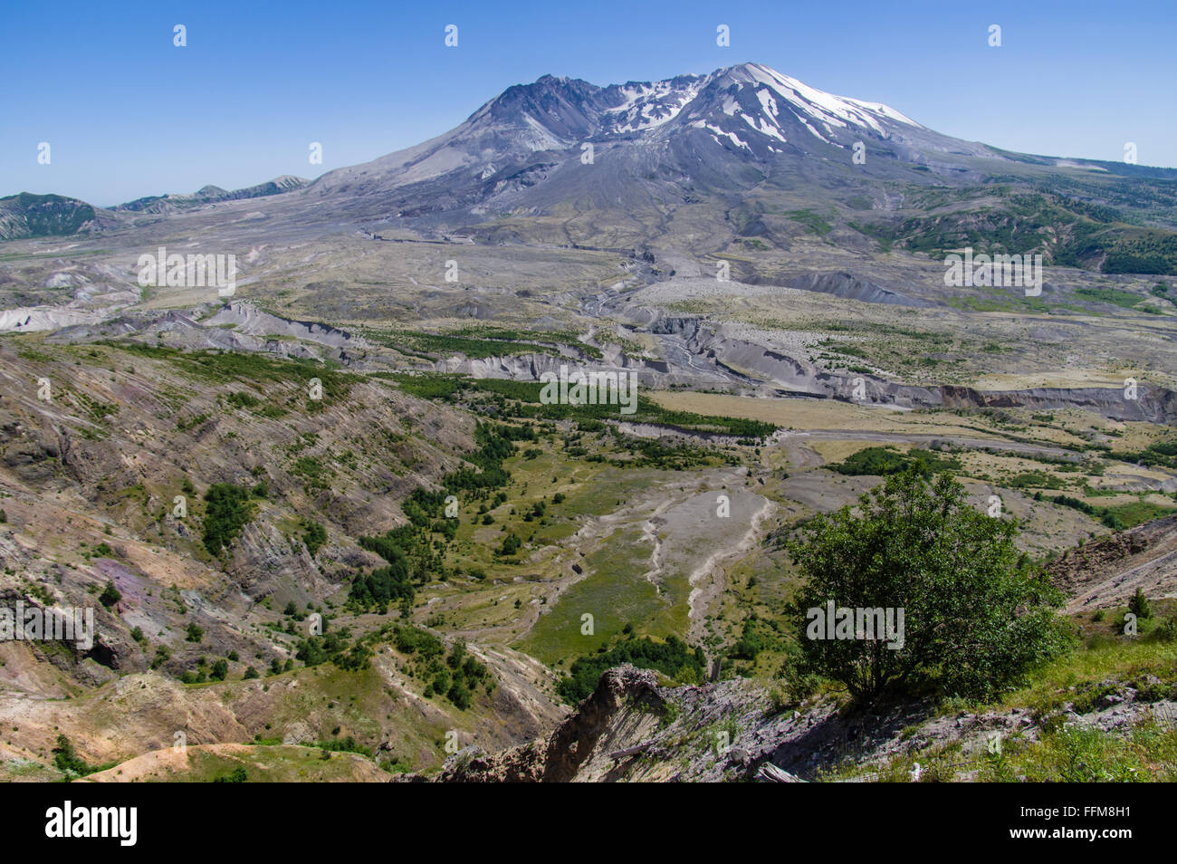 Mount st helens 1980 eruption hi-res stock photography and images - Alamy