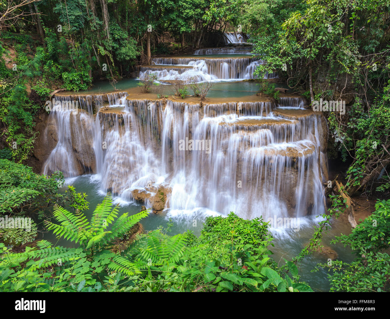 Forest water waterfall hi-res stock photography and images - Alamy