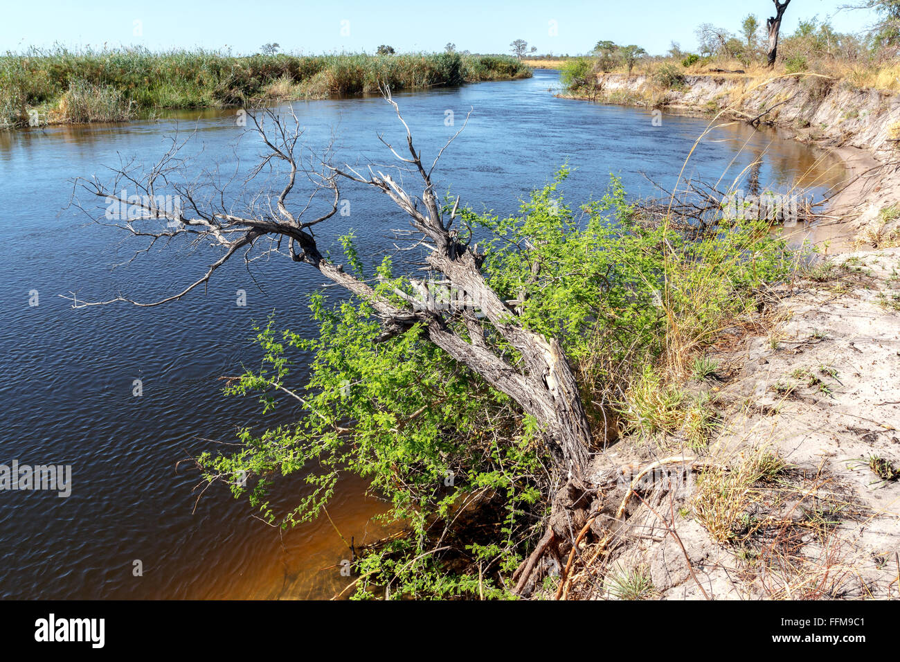 African landscape, river in national park Nambwa on Caprivi Strip ...