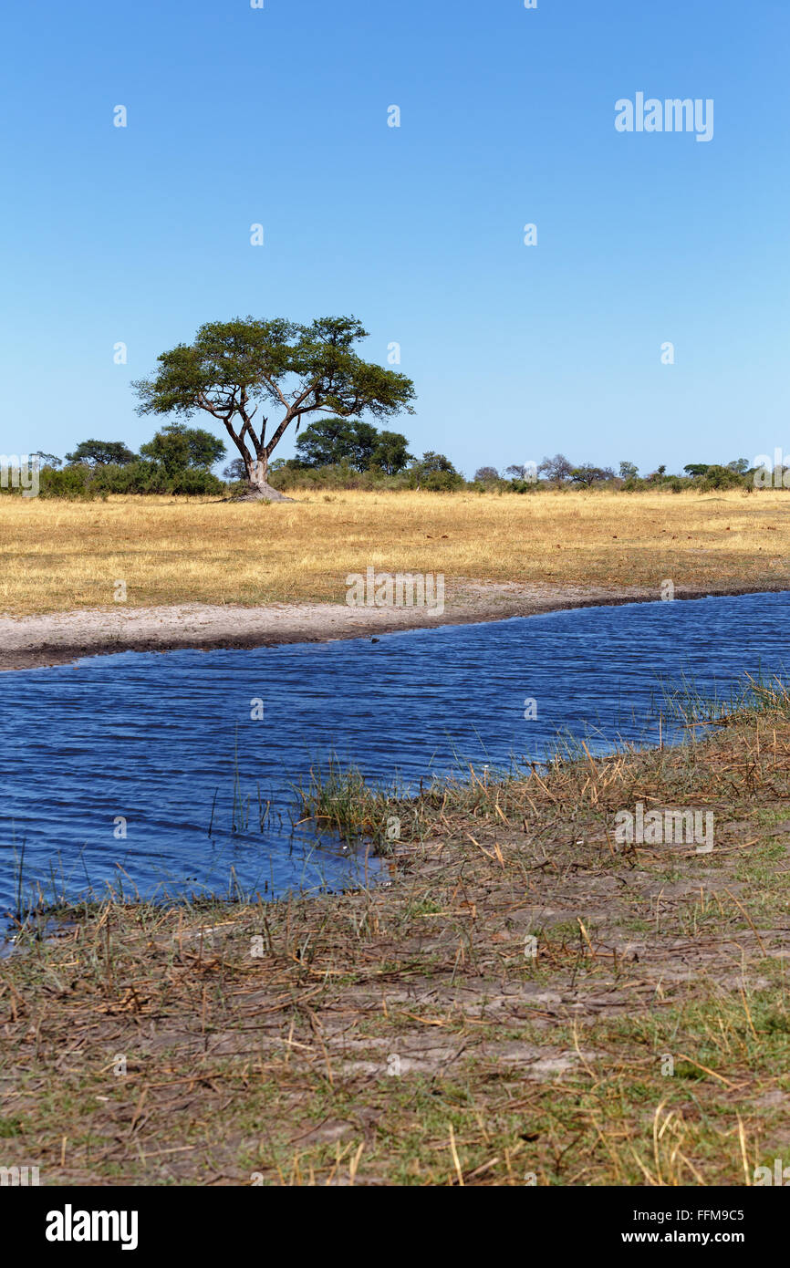 African landscape, river in national park Nambwa on Caprivi Strip ...