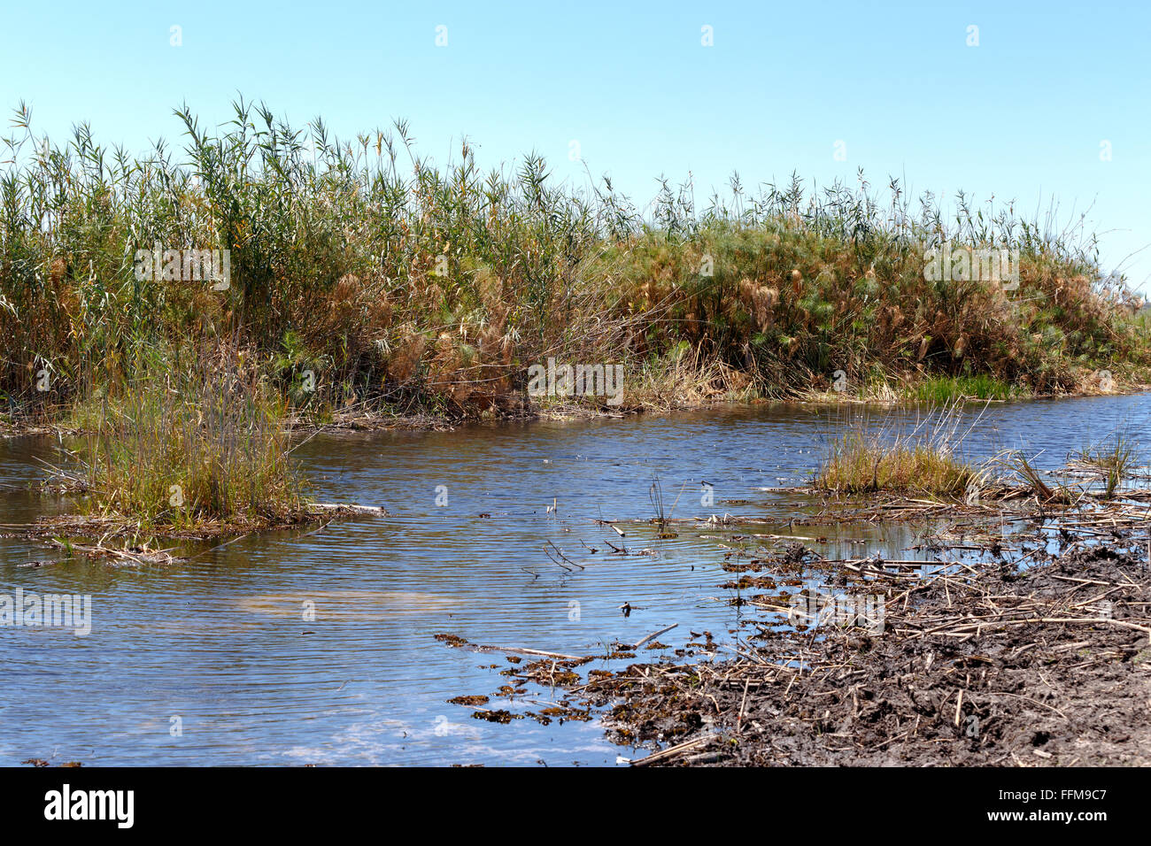 African landscape, river in national park Nambwa on Caprivi Strip ...