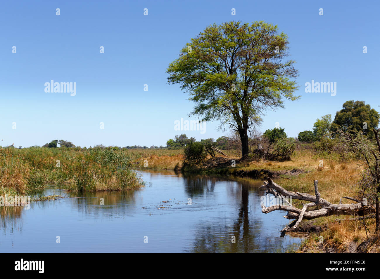 African landscape, river in national park Nambwa on Caprivi Strip ...