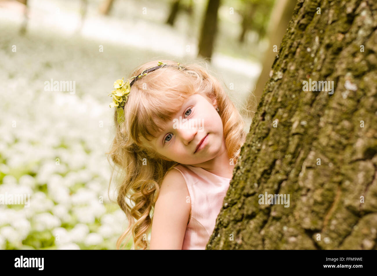adorable blond girl behind tree trunk in woods Stock Photo - Alamy