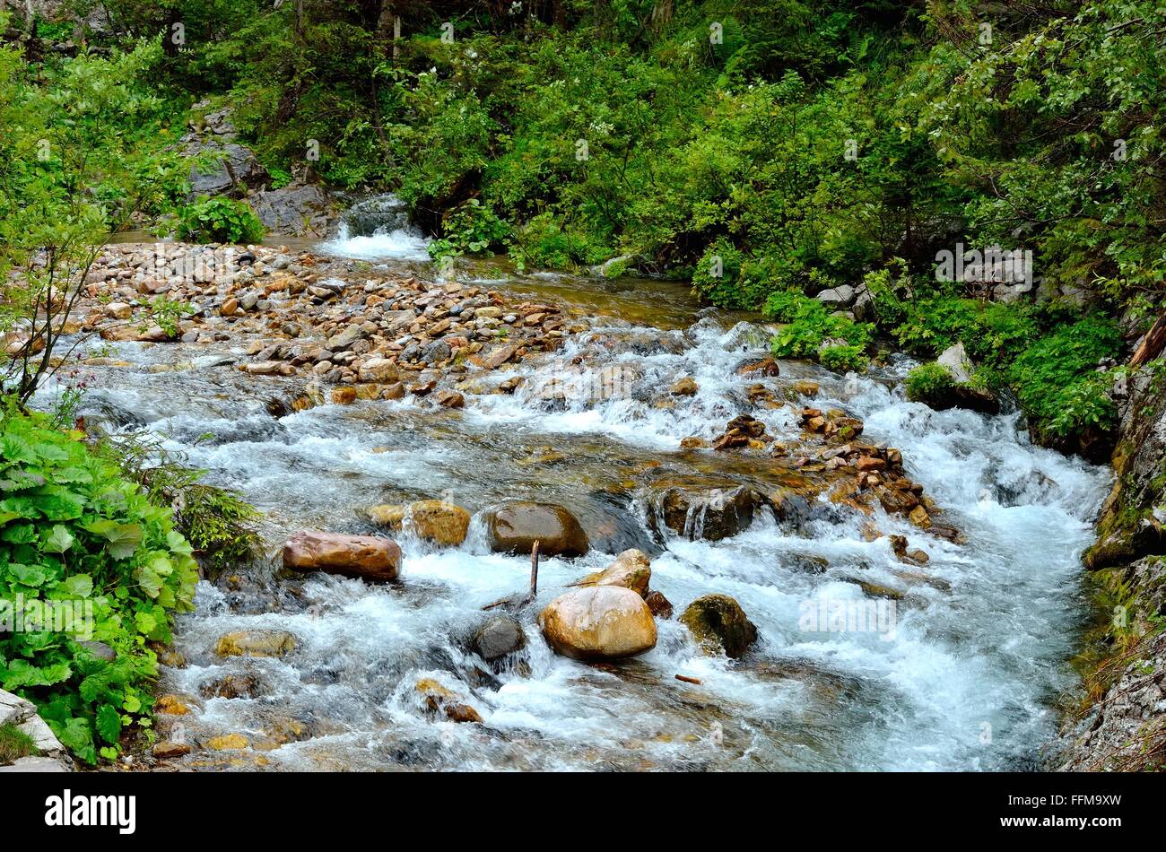 Stream valley river hi-res stock photography and images - Alamy