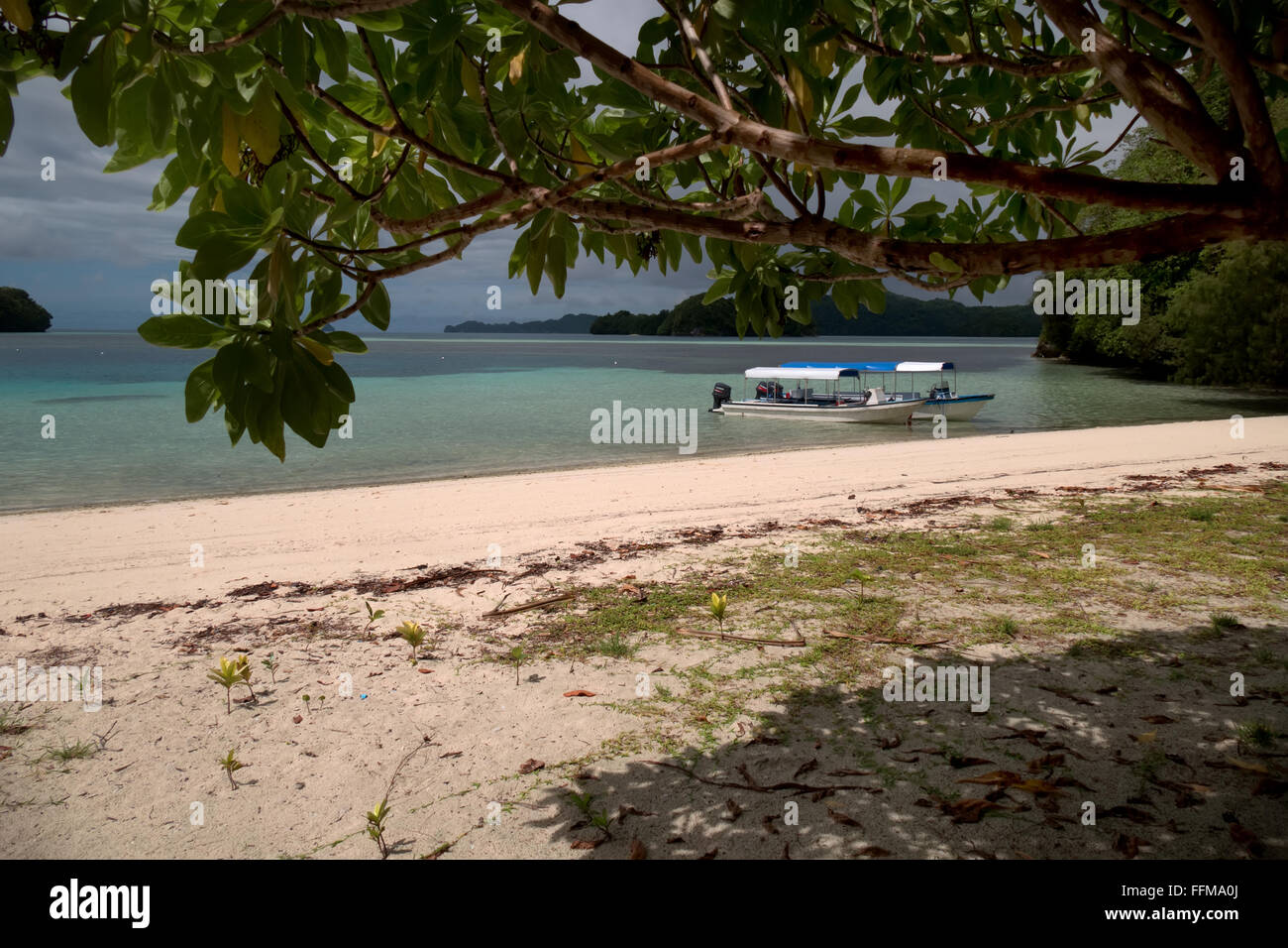 Palau, Micronesia, Oceania, Pacific Ocean. Tourist boats near white ...