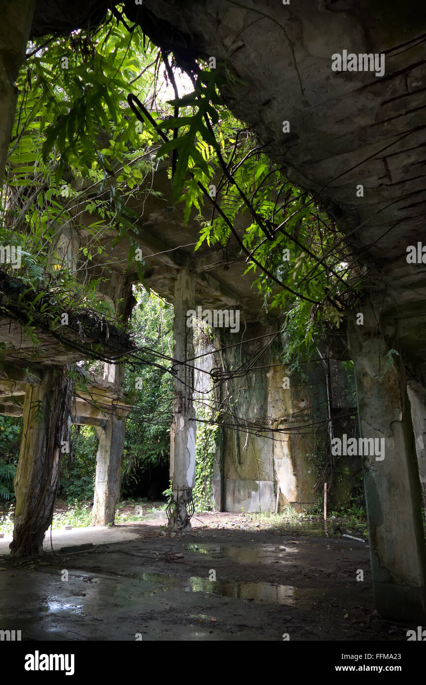 Japanese military headquarters. Battle of Peleliu, Palau 1944 ...