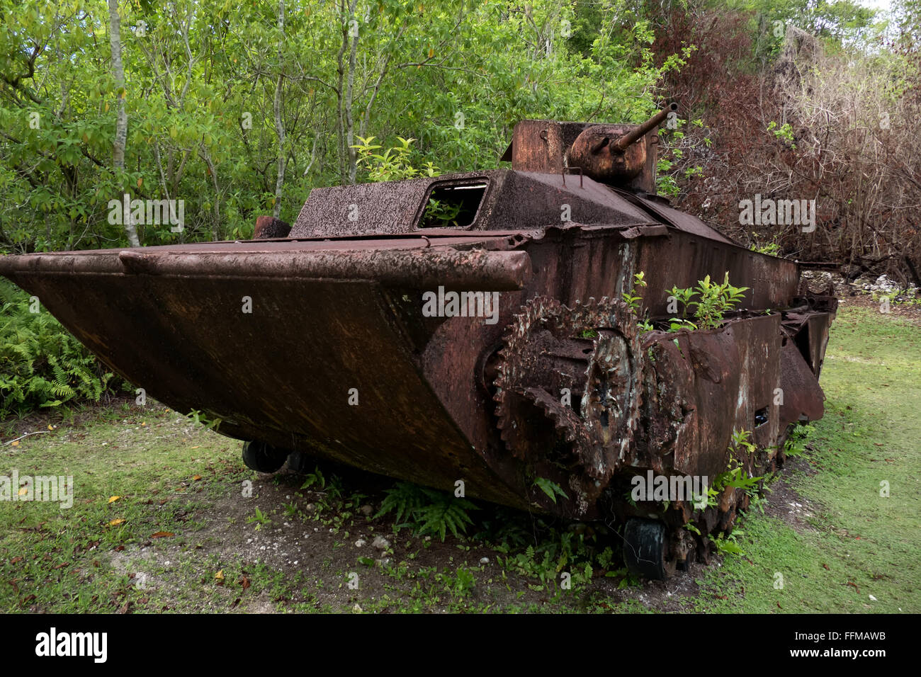 American tank, US armored military vehicle in jungle. Battle of Peleliu ...