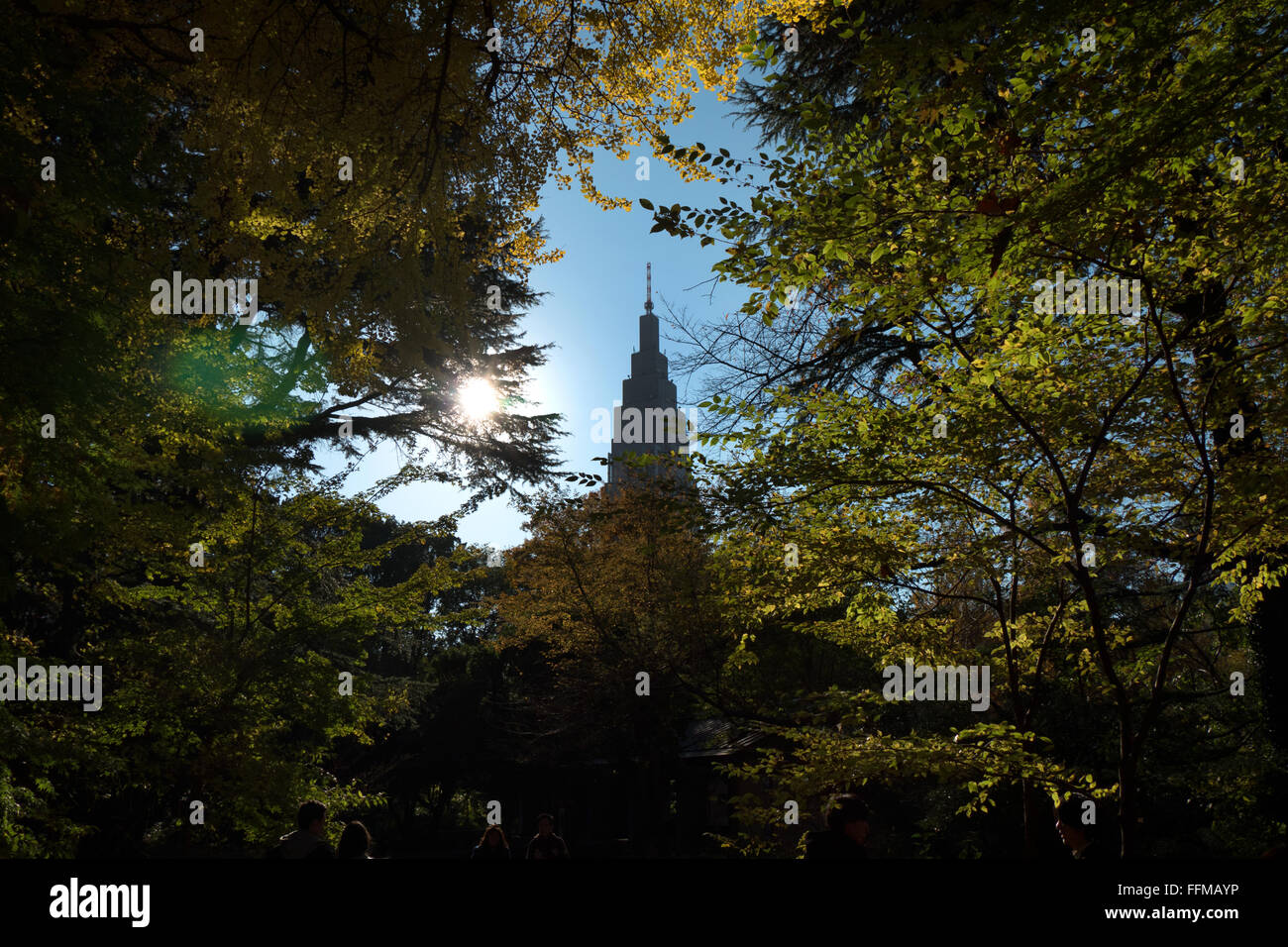 Shinjuku Gyoen National Garden, Tokyo, Japan, Asia. City park, fall ...