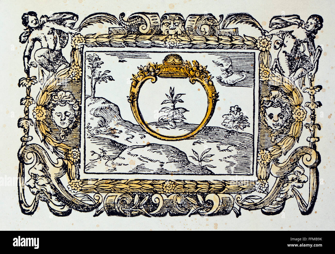 Cologne mark hi-res stock photography and images - Alamy