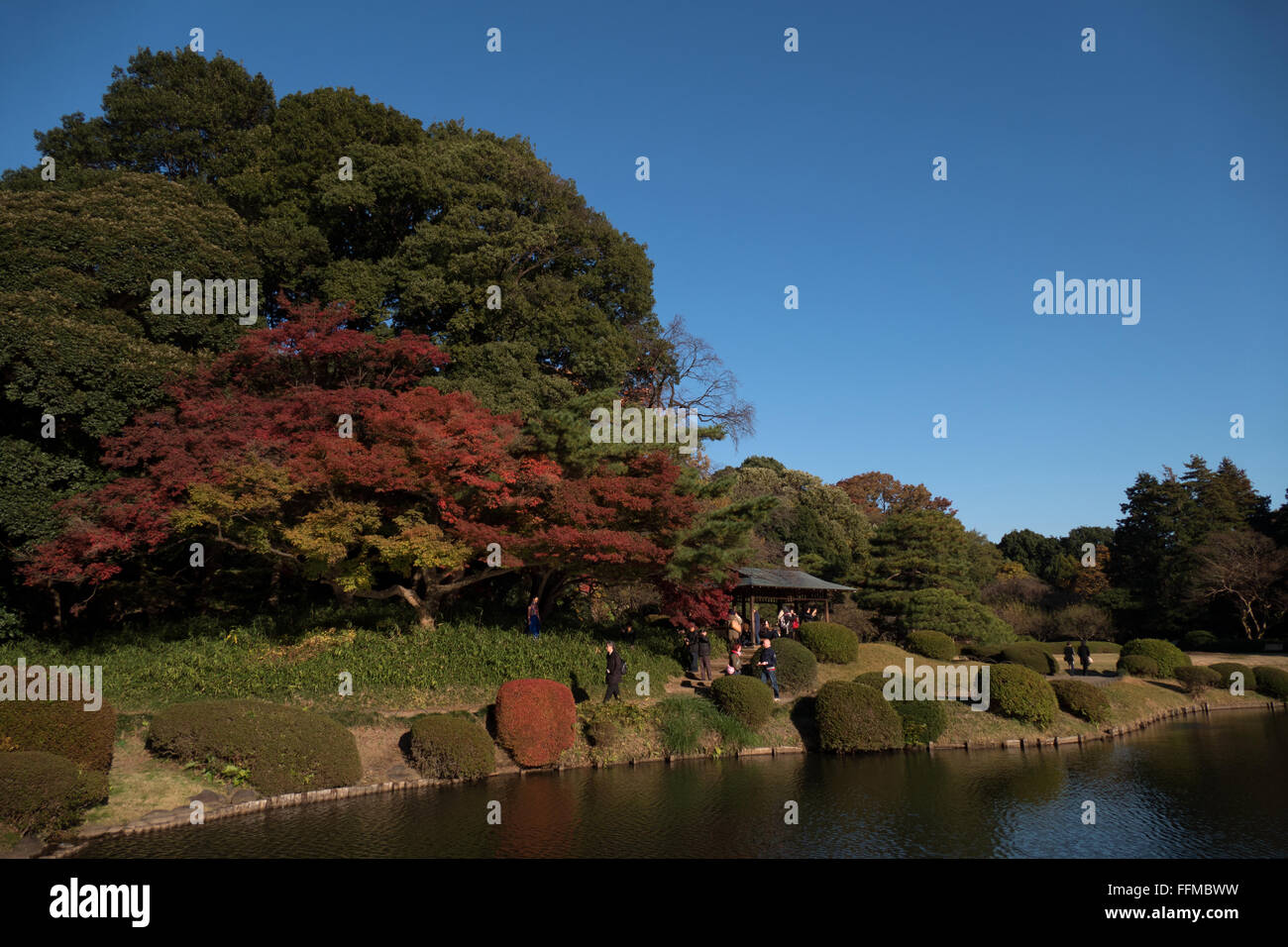 Shinjuku Gyoen National Garden, Tokyo, Japan, Asia. City park, fall ...