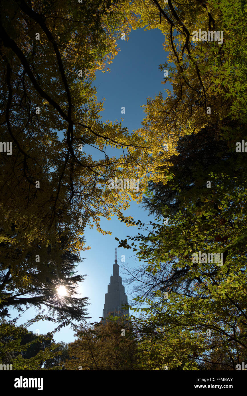 Shinjuku Gyoen National Garden, Tokyo, Japan, Asia. City park, fall ...