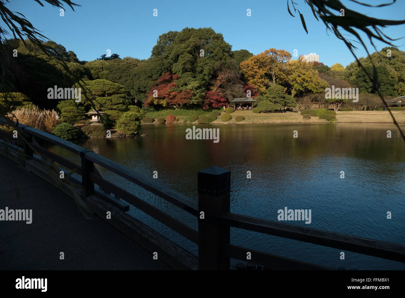 Shinjuku Gyoen National Garden, Tokyo, Japan, Asia. City park, fall ...