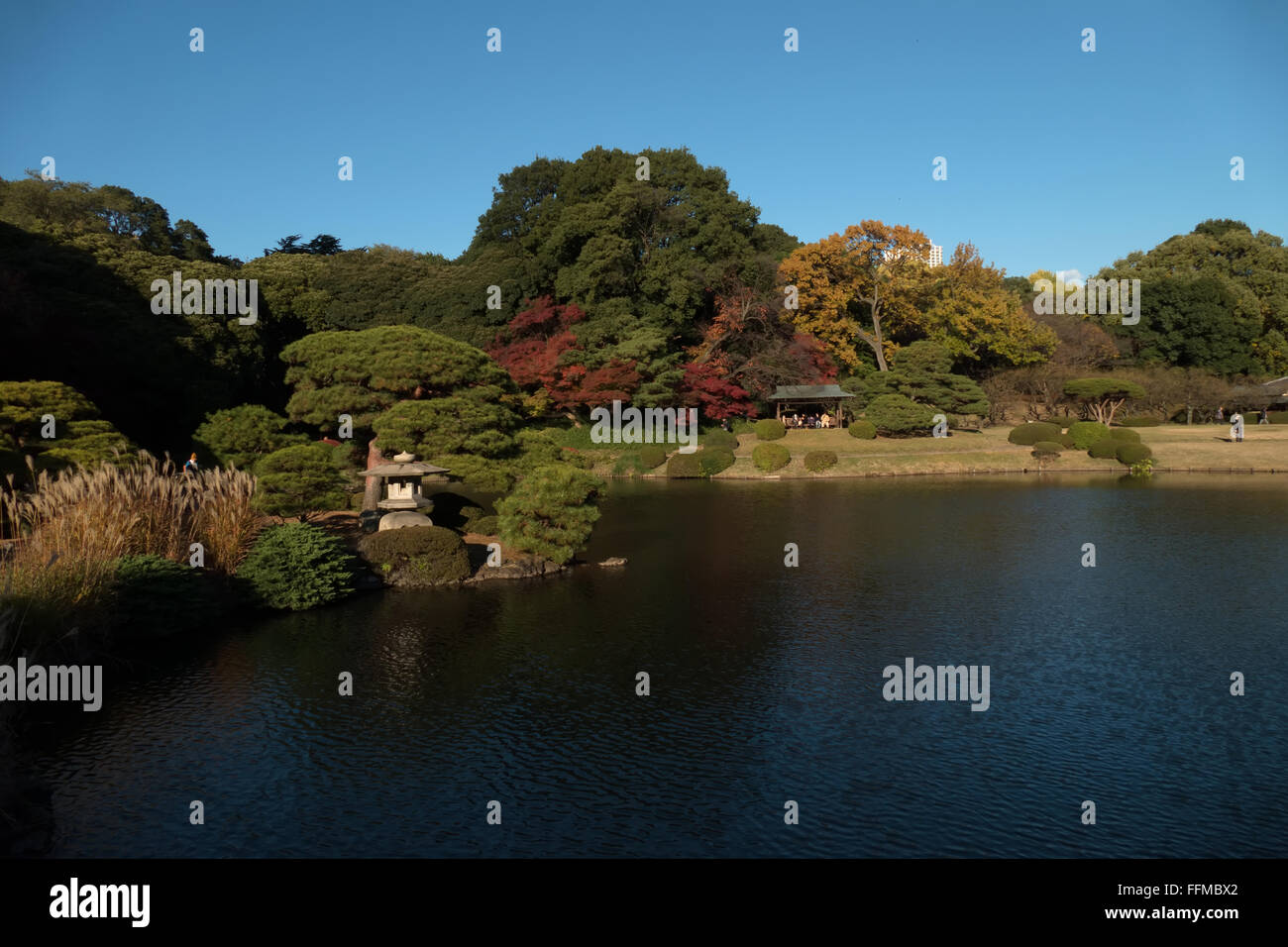 Shinjuku Gyoen National Garden, Tokyo, Japan, Asia. City park, fall ...