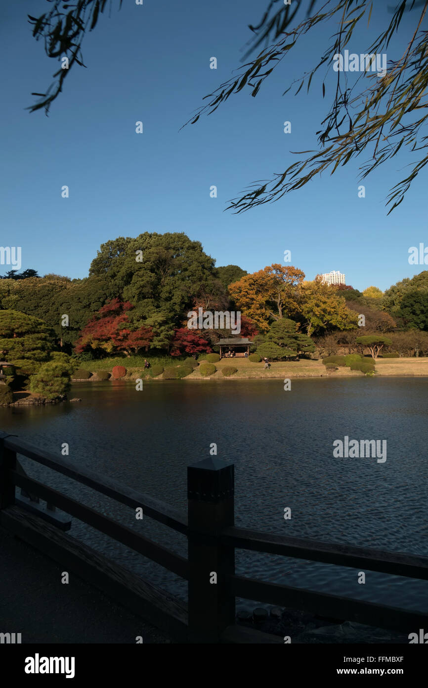 Shinjuku Gyoen National Garden, Tokyo, Japan, Asia. City park, fall ...