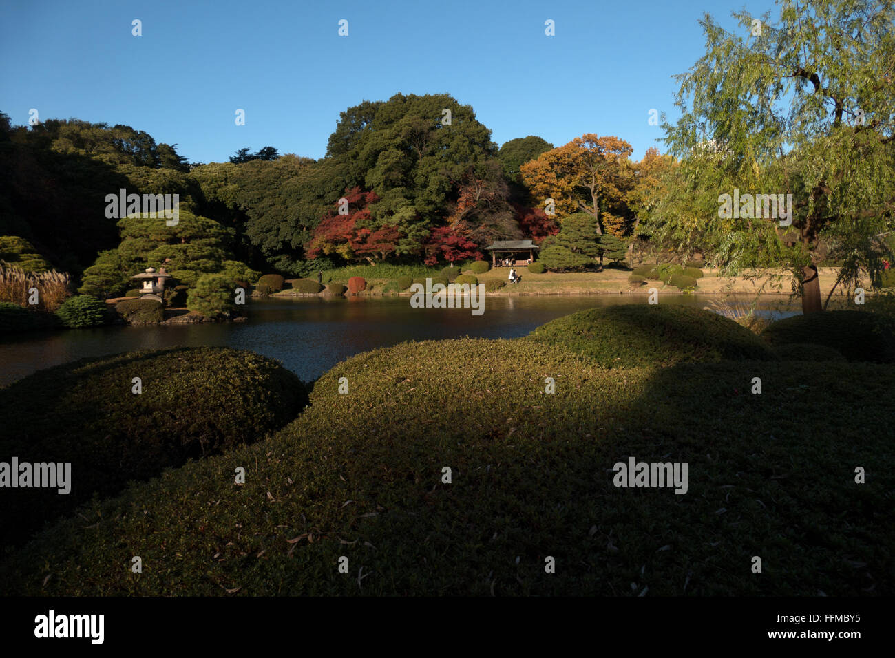Shinjuku Gyoen National Garden Stock Photos & Shinjuku Gyoen National ...