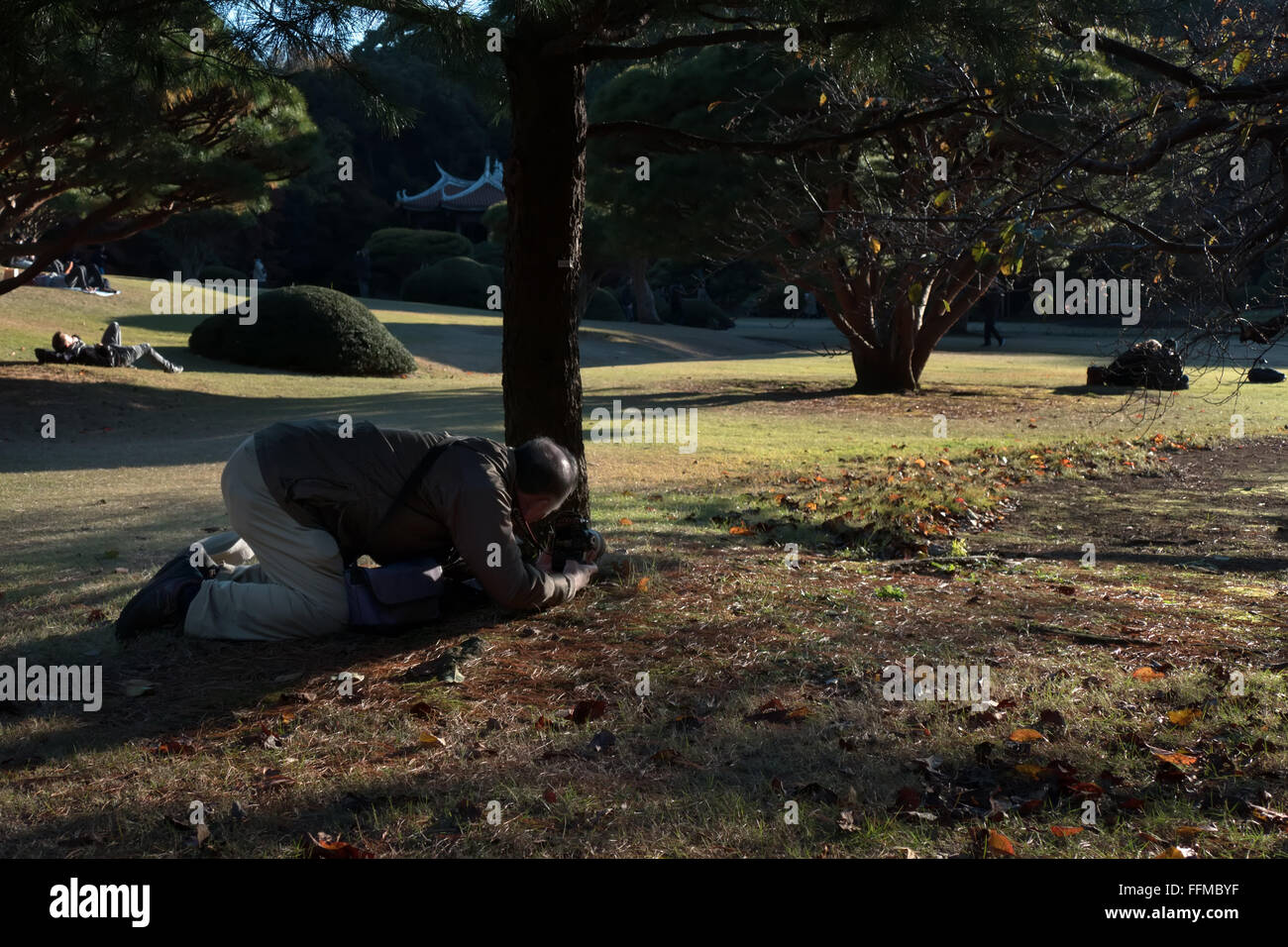 Shinjuku Gyoen National Garden, Tokyo, Japan, Asia. City park, fall ...