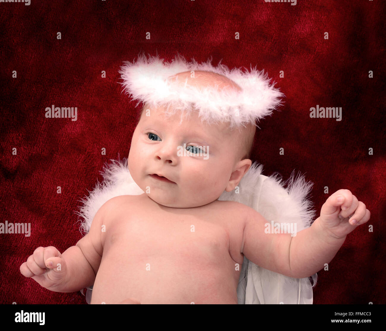 Halo family hi-res stock photography and images - Alamy