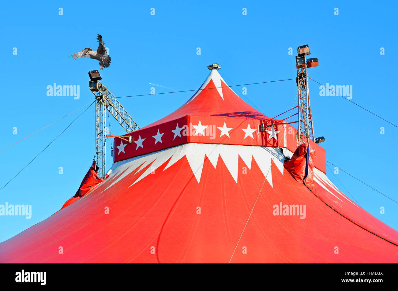 Circus Gymnasts Performing High Resolution Stock Photography and Images ...