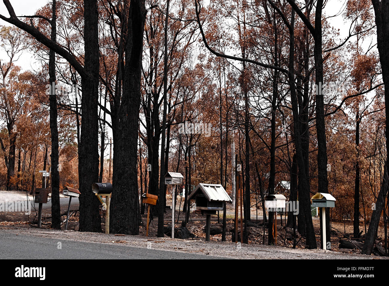 australian bush fire damage,australian bush fire aftermath,post ...