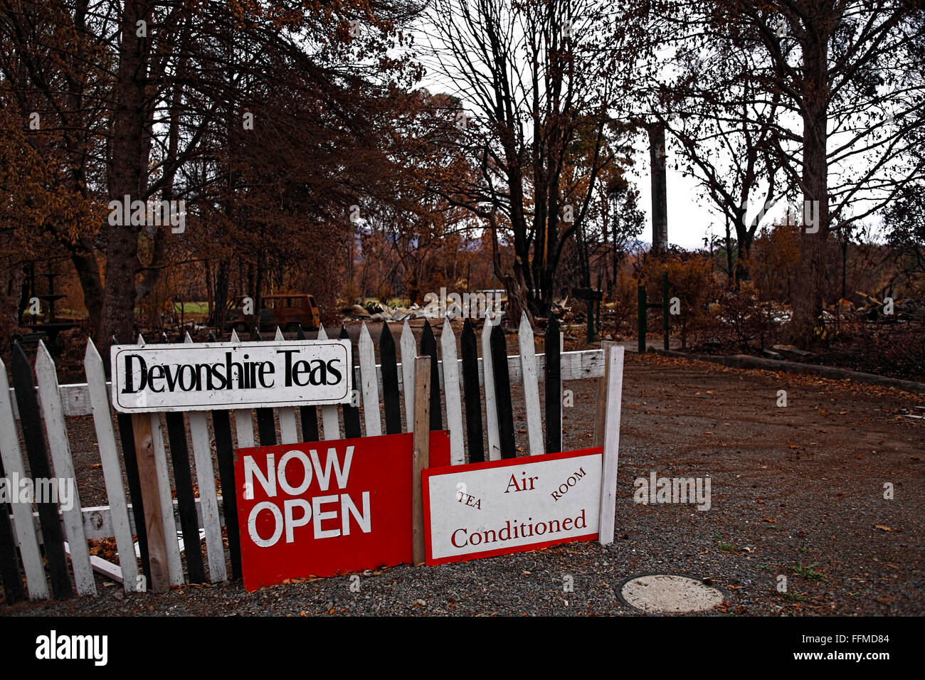 australian bush fire damage,australian bush fire aftermath,post ...