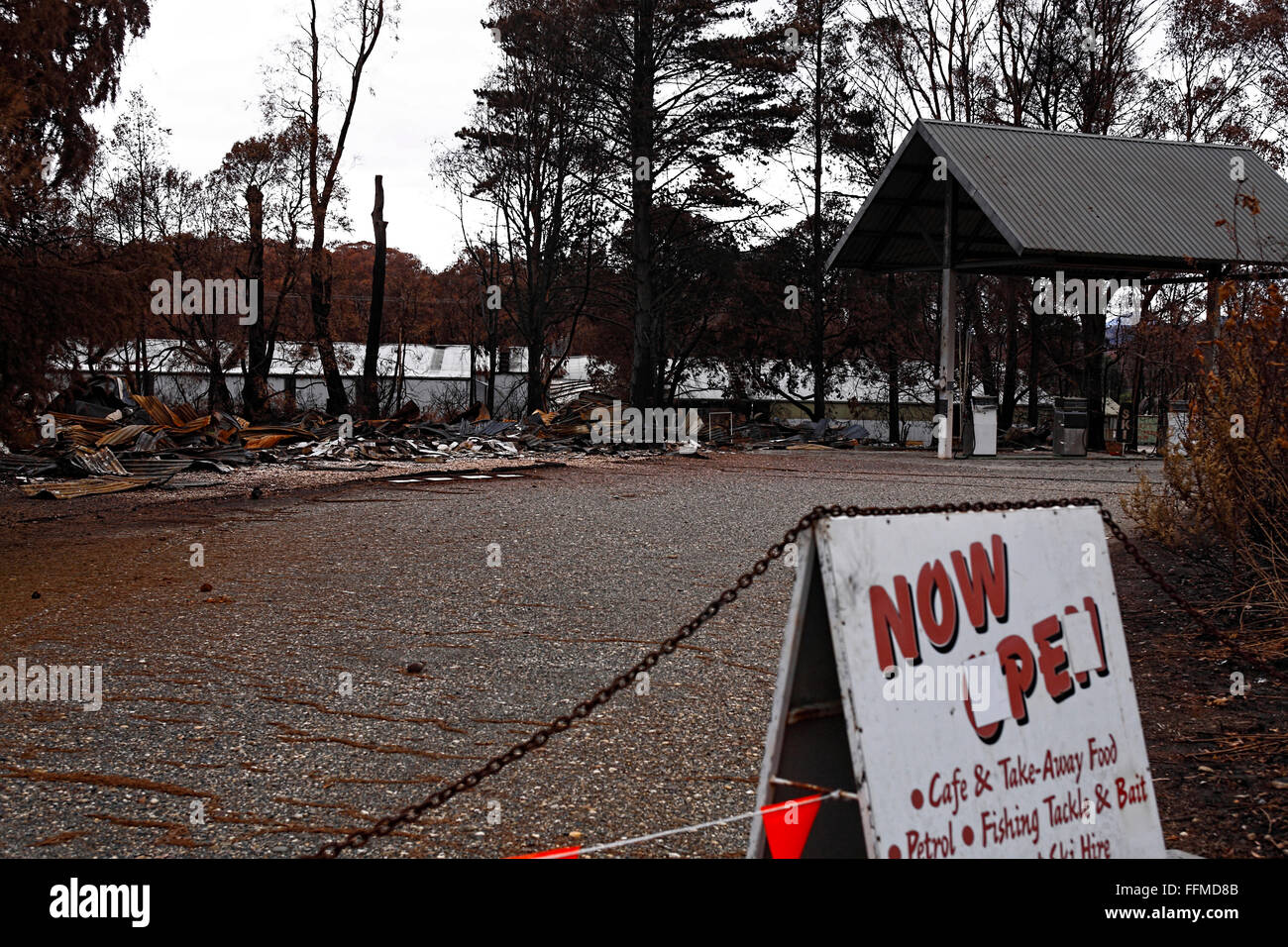 australian bush fire damage,australian bush fire aftermath,post ...