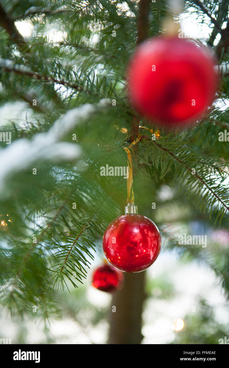 Red baubles on Christmas tree outdoors Stock Photo - Alamy