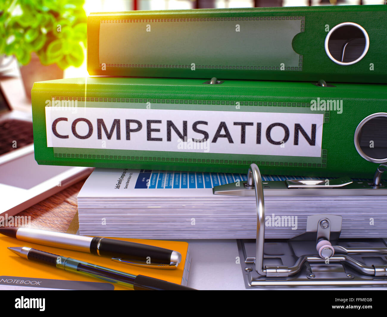 Green Ring Binder with Inscription Compensation Stock Photo - Alamy