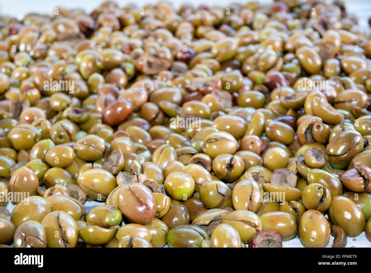 Olive oil press in oil hi-res stock photography and images - Alamy