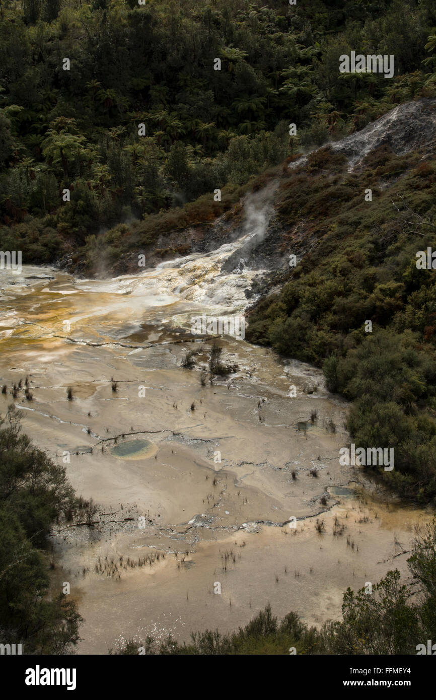 Artist's palette in Orakei Korako is a 10000 square meter sinter ...