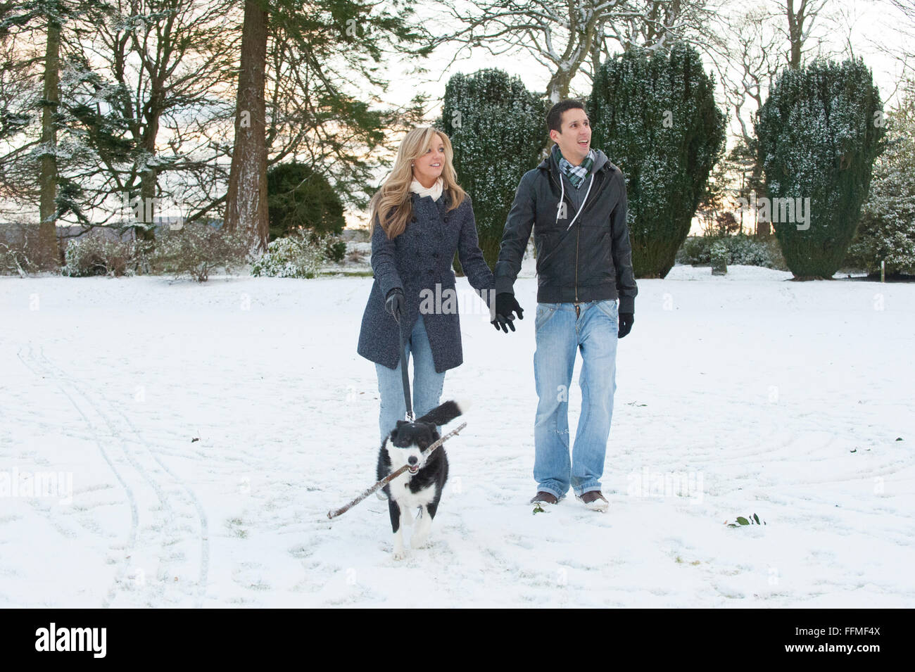Pretty woman holding border collie hi-res stock photography and images ...