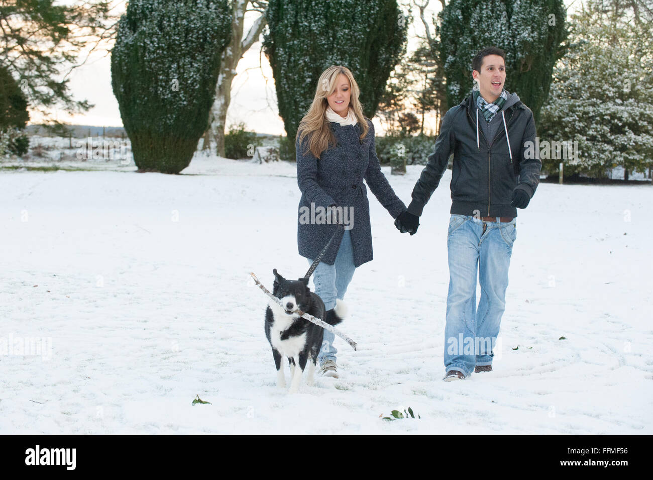 Pretty woman holding border collie hi-res stock photography and images ...