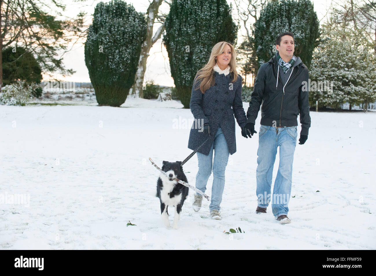 Pretty woman holding border collie hi-res stock photography and images ...