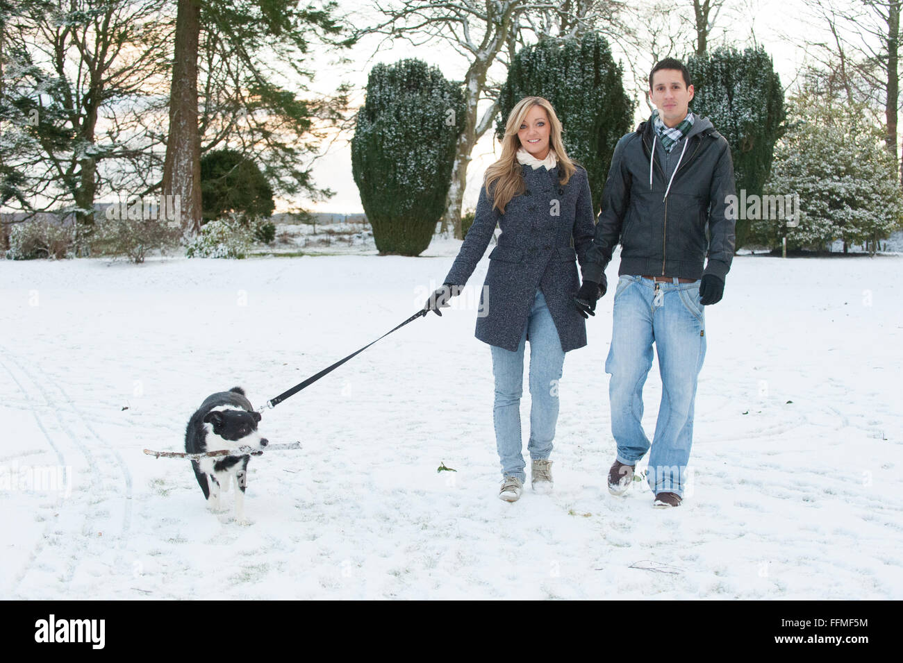 Pretty woman holding border collie hi-res stock photography and images ...
