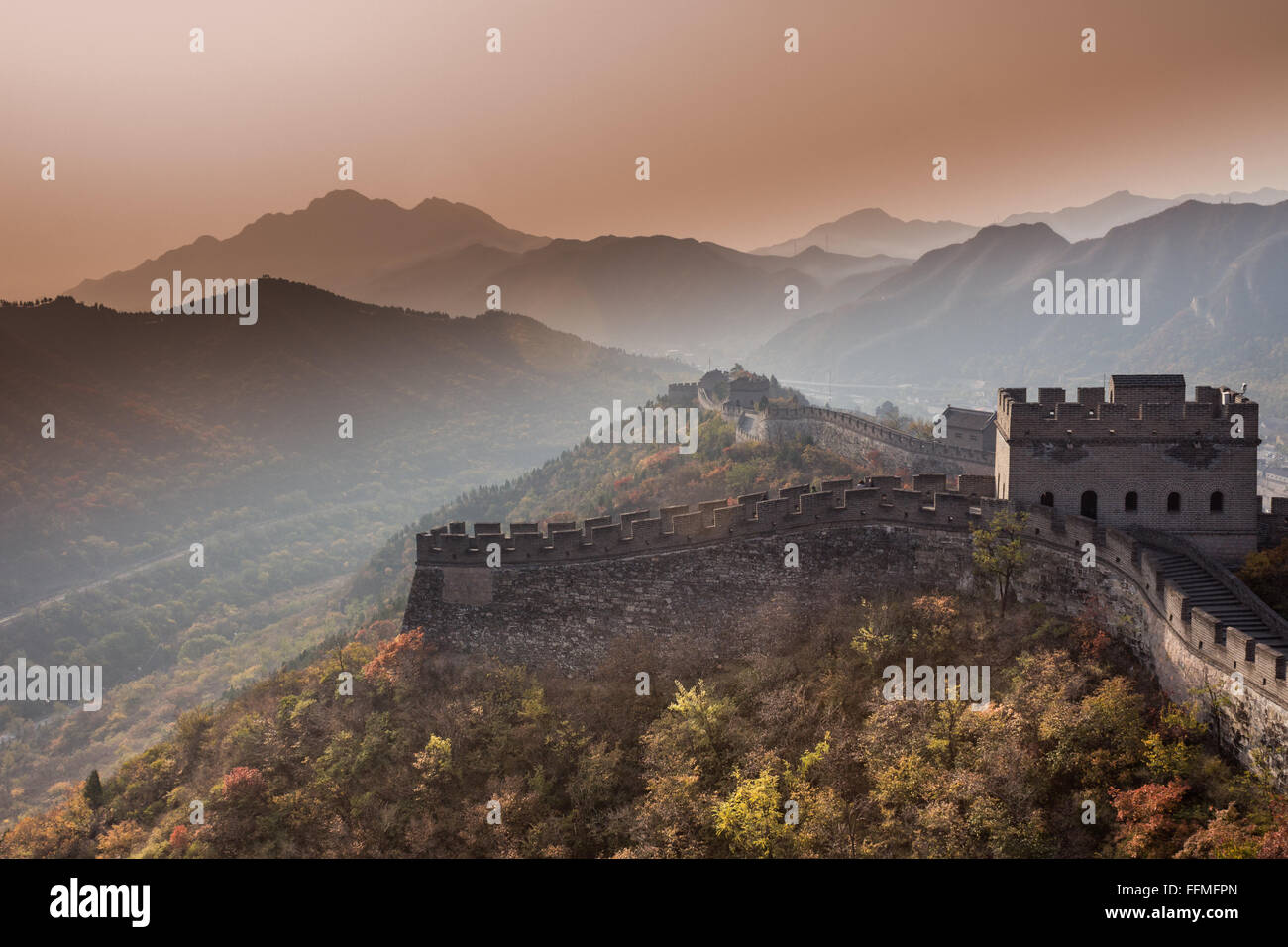 Great roc hi-res stock photography and images - Alamy