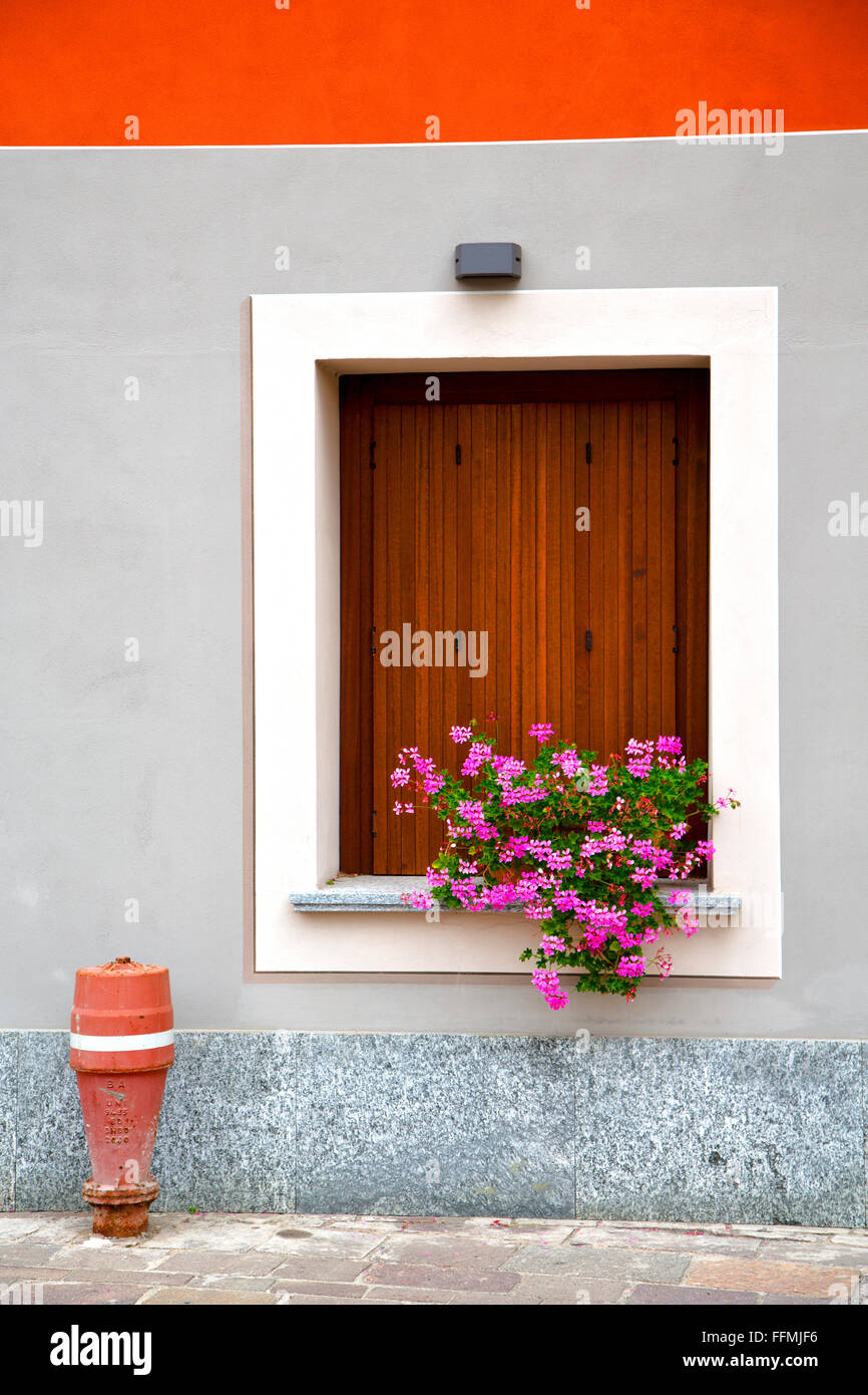 cavaria varese italy abstract window wood venetian blind in the ...