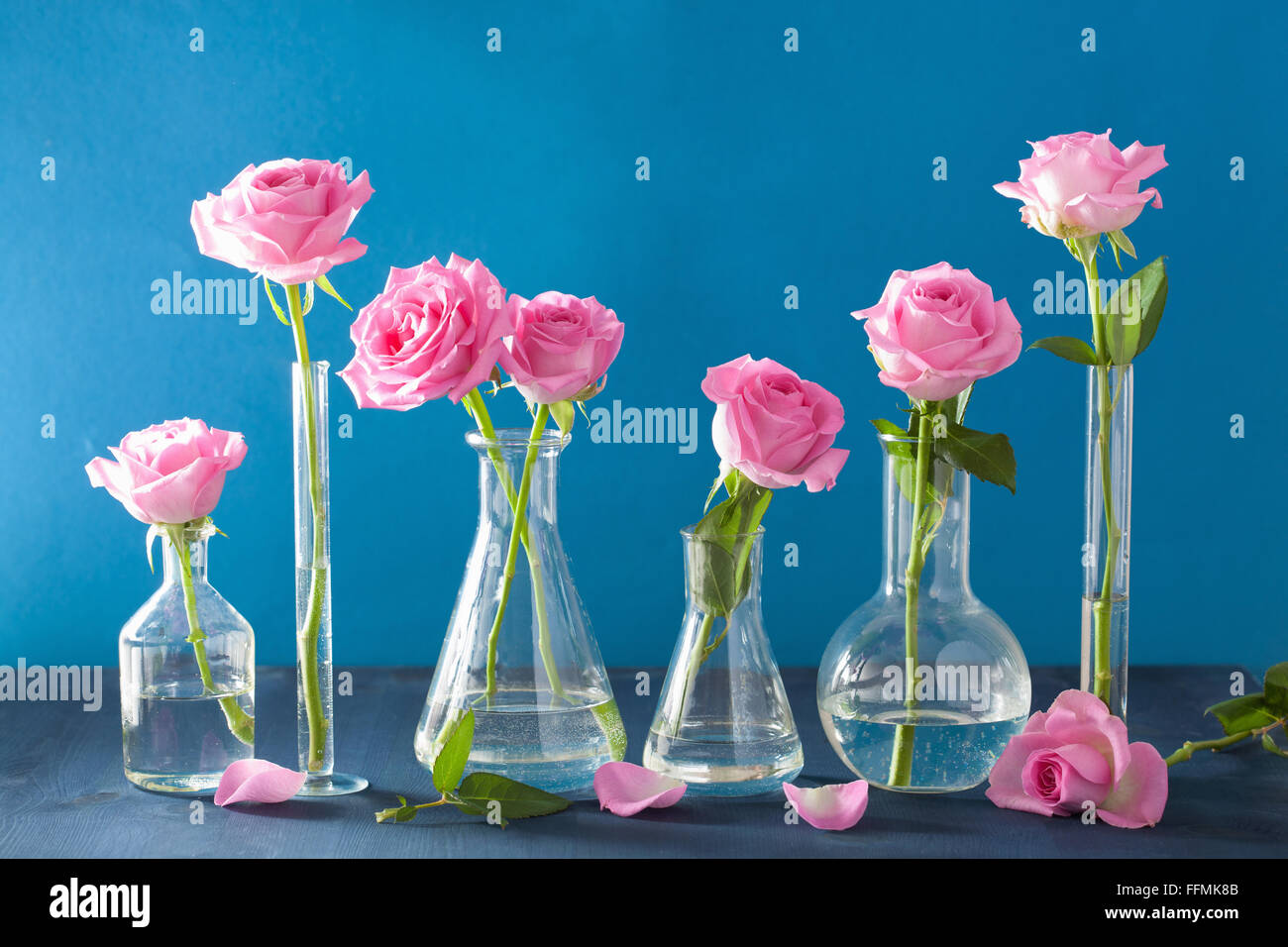 pink rose flowers in chemical flasks over blue Stock Photo - Alamy