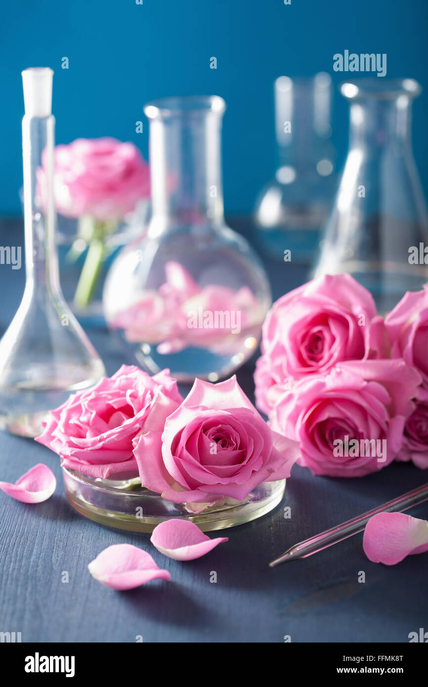 alchemy and aromatherapy with rose flowers and chemical flasks Stock ...