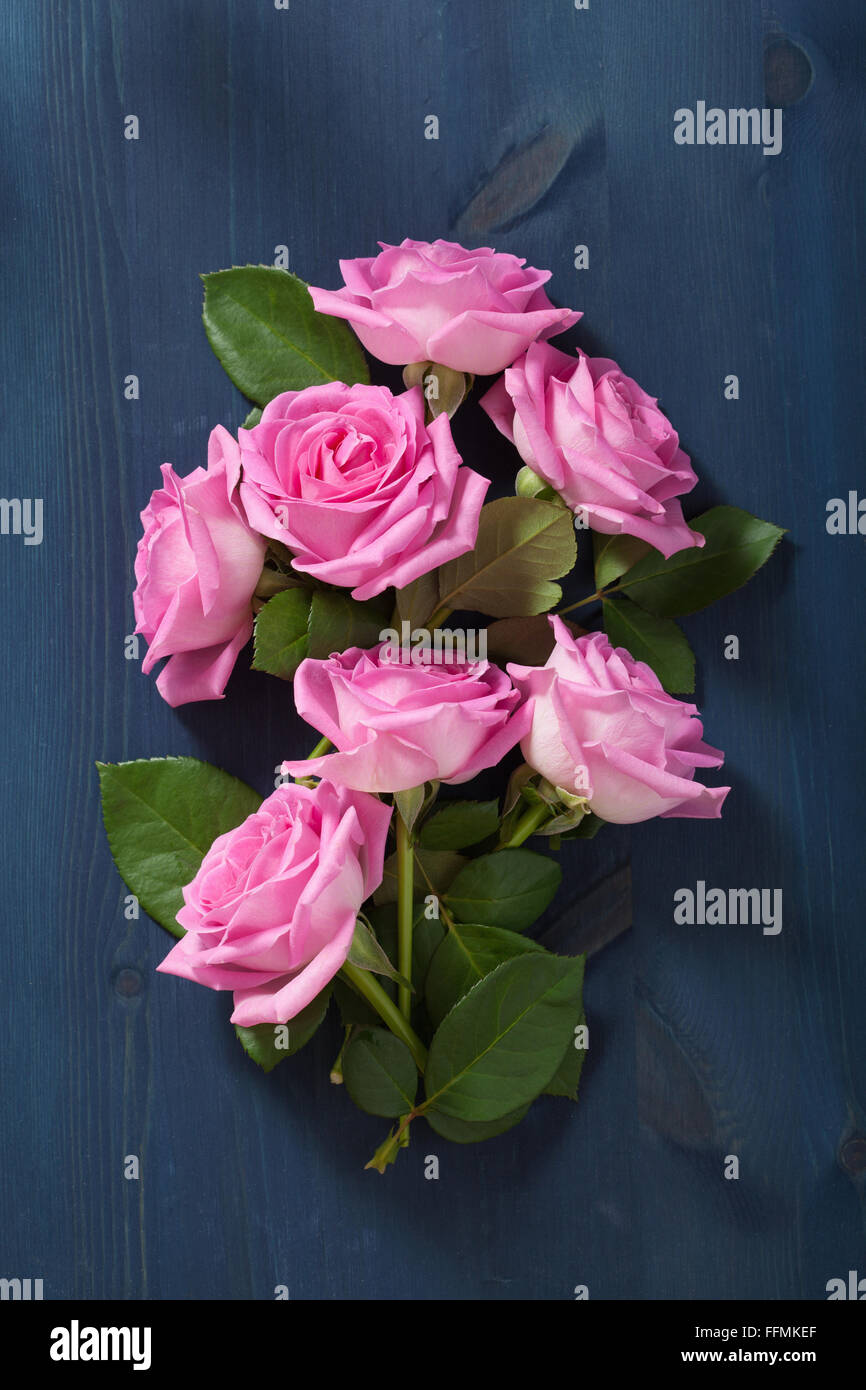 pink rose flowers over dark blue background Stock Photo - Alamy
