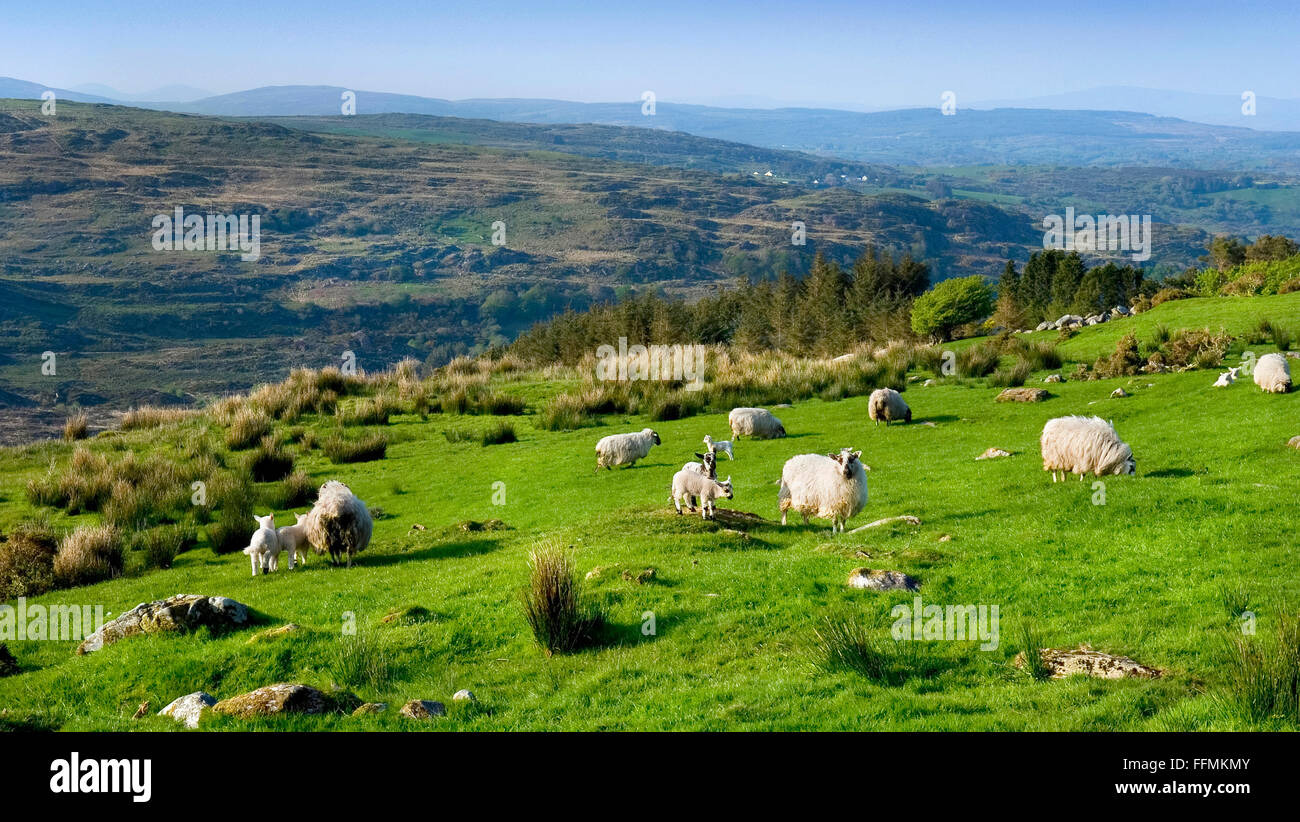 Shehy Mountains, Cork Stock Photo - Alamy