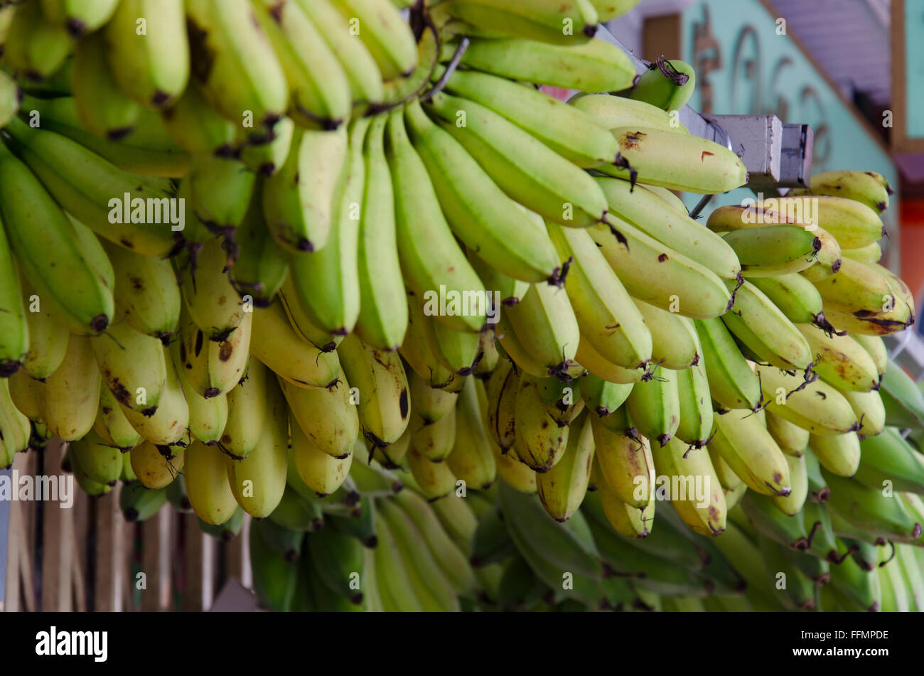 Australian bananas hi-res stock photography and images - Alamy