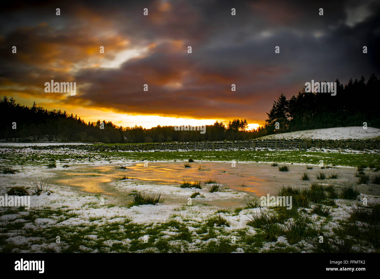 Tyrebagger woods hi-res stock photography and images - Alamy