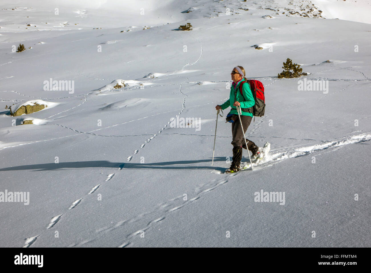 Female figure in red snowshoeing hi-res stock photography and images ...