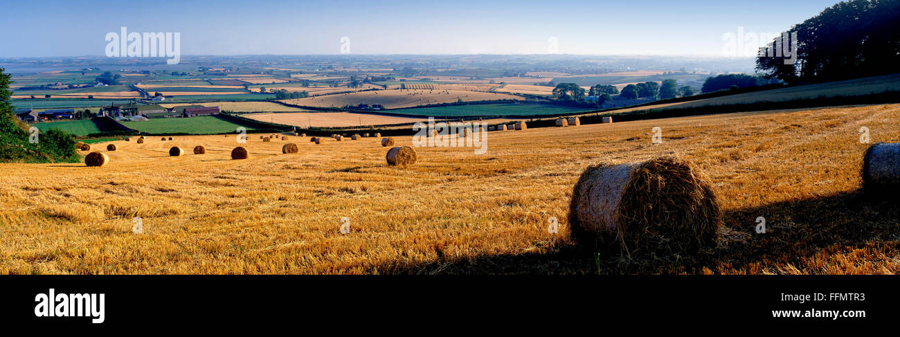 harvested fields near Limavady Londonderry Derry Northern Ireland Stock ...