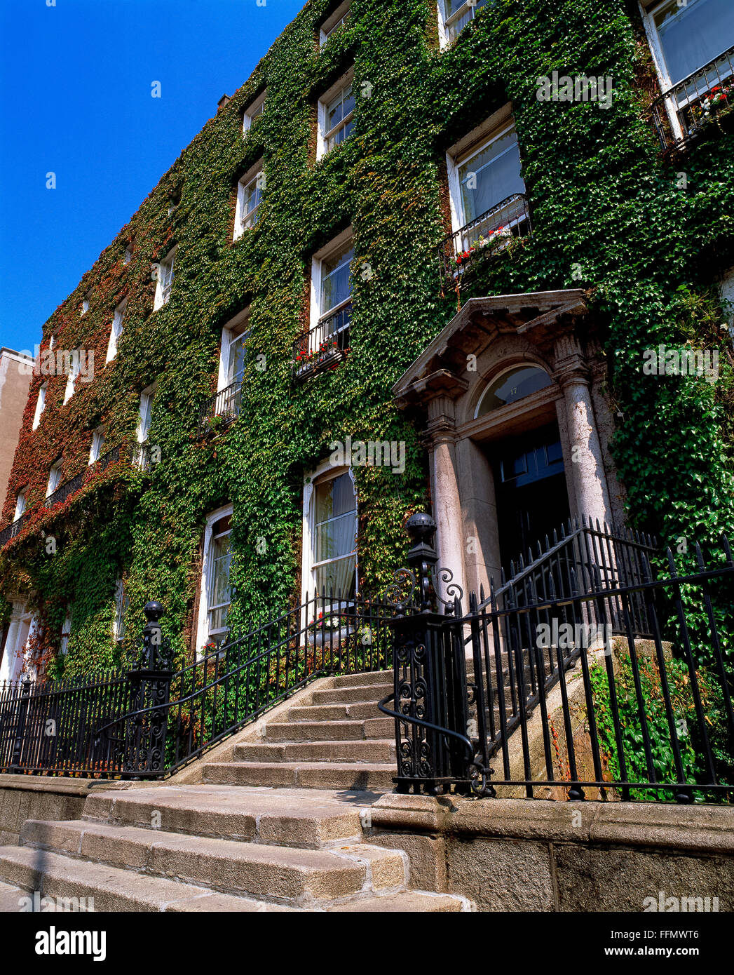Ivy on Georgian house saint stephens green Dublin Ireland Stock Photo ...