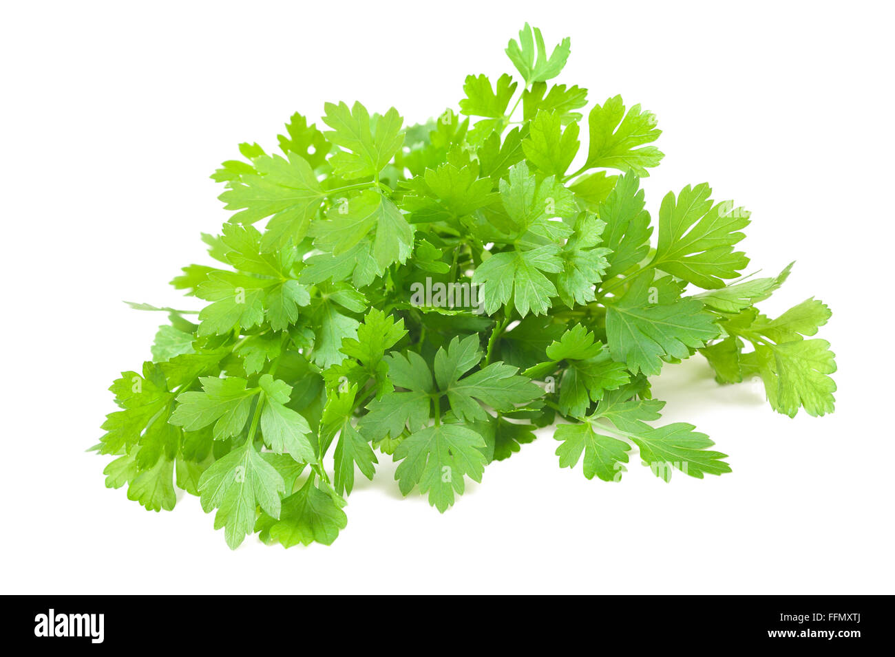 parsley bunch isolated on white background Stock Photo - Alamy